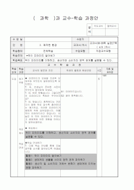 6)과학-먹이 피라미드 알아보기(중안)-1페이지