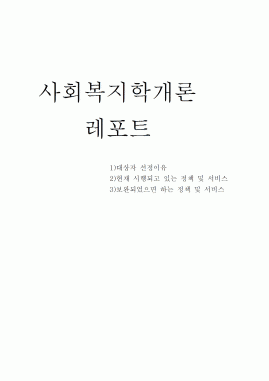 [사회복지학개론] 다문화가정-1페이지