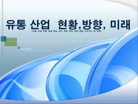 유통 산업 현황,방향, 미래(유통, 산업, 변화, 과제, 현실, 비전, 목표, 전략, 역할, 정립, 나아가야, 할, 방향)-1페이지