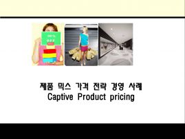 제품 믹스 가격 전략 경영 사례 Captive Product pricing-1페이지