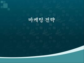 마케팅 전략 083205-1페이지