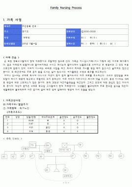 FNP 가족 간호과정 (Family Nursing Process)-1페이지