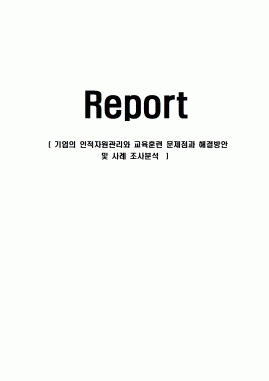 기업의 인적자원관리와 교육훈련 문제점과 해결방안 및 사례 조사분석-1페이지