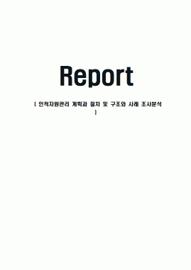 인적자원관리 계획과 절차 및 구조와 사례 조사분석-1페이지