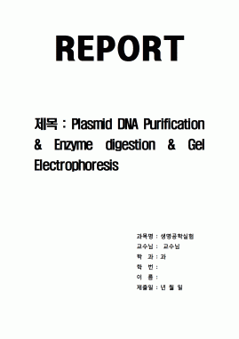 DNA정제 및 전기영동 (Plasmid DNA Purification & Enzyme digestion & Gel Electrophoresis)-1페이지