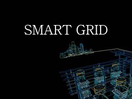 스마트그리드(smart grid)-1페이지