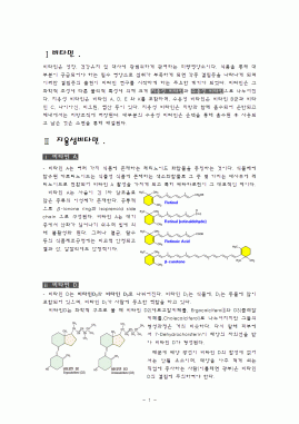 화학-비타민-1페이지