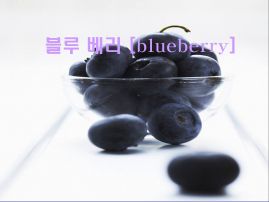 블루 베리 (blueberry)-1페이지