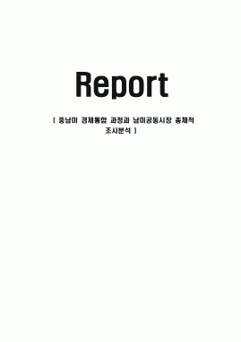 중남미 경제통합 과정과 남미공동시장 총체적 조사분석-1페이지