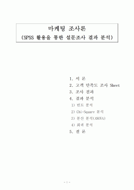 SPSS 활용을 통한 설문조사 결과 분석-1페이지