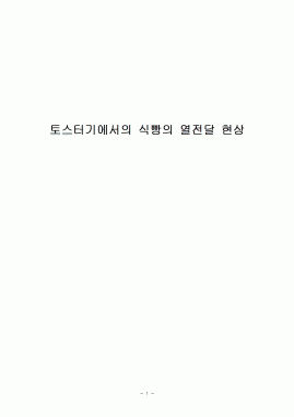 [열전달] 토스터기에서의 식빵의 열전달 현상-1페이지