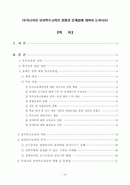 특수아교육A+(우리나라의 유아특수교육의 현황과 문제점에 대하여 논하시오)-1페이지