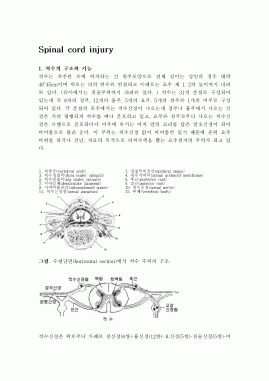 Spinal cord injury-1페이지