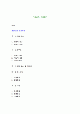 관광상품 품질차원-1페이지