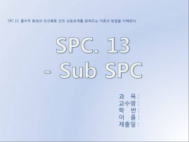 spc13-1페이지