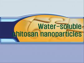 수용성 키토산 나노분자-1페이지