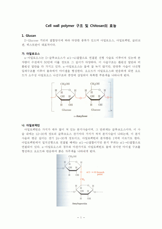 아밀로펙틴 구조