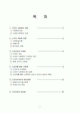 스포츠 사회화의 개념-1페이지