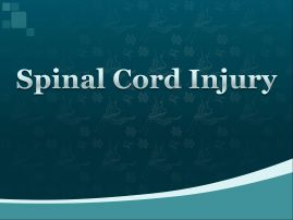 SCI(Spinal Cord Injury : 척수손상)-1페이지