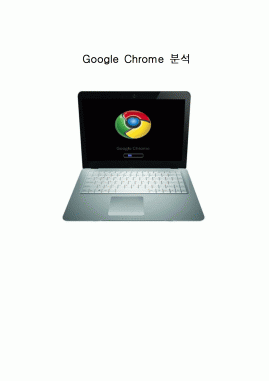 구글 크롬(google chrome)의 주요기능, 특징, 전략분석, 소비자선호도, 위협과 기회요인-1페이지