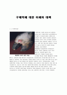 구제역에 대한 이해와 대책-1페이지