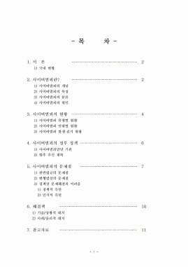 사이버범죄의 문제점과 해결책-1페이지