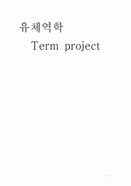 유체역학 텀 프러젝트(Term project)-1페이지