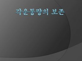 각운동량의 보존-1페이지