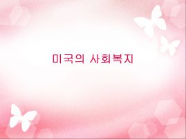 미국의 사회복지-1페이지