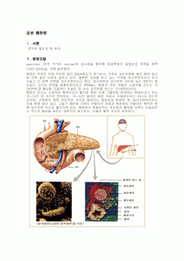 급성 췌장염 사례 (케이스 스터디, 간호과정)-1페이지