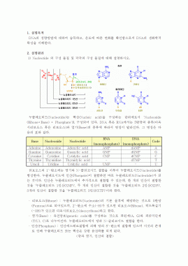 생물공학실험 DNA정량법-1페이지