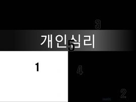 개인심리-1페이지