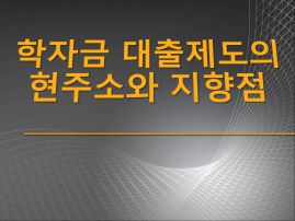 학자금 대출제도의 현주소와 지향점-1페이지