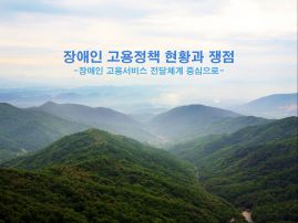 장애인고용정책과_문제점-1페이지