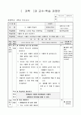 4)과학-3. 식물의 한살이 - 식물의 한살이 비교하기-1페이지