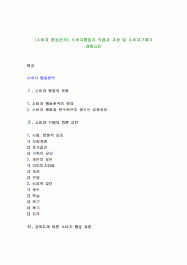 [소비자 행동분석] 소비자행동의 유용과 과정 및 소비자구매의 영향요인-1페이지