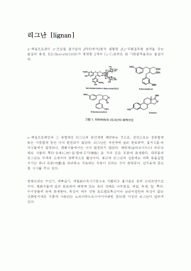 리그난(Lignan)-1페이지