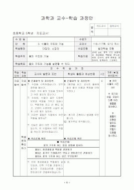 5)과학-3. 식물의 구조와 기능 - 꽃의 구조와 기능-1페이지