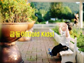 금동이(Gold Kids)의 개념, 금동이의 원인, 금동이의 문제점, 사례, 육아대책 및 향후 전망-1페이지