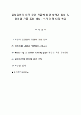 유럽은행의 미국 달러 자금에 대한 압력과 원인 및 달러화 자금 조달 방안, 위기 경영 대응 방안-1페이지