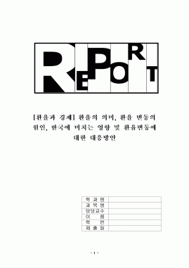 [환율과 경제] 환율의 의미, 환율 변동의 원인, 한국에 미치는 영향 및 환율변동에 대한 대응방안-1페이지