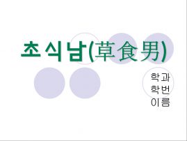 초식남(草食男)의 개념, 초식남 테스트, 사회적 배경 및 초식남에 대한 견해들-1페이지