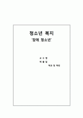 [사회복지] [장애청소년 복지] 장애 청소년의 현황과 실태 및 문제점과 장애 청소년 복지정책 및 서비스의 실천방안-1페이지