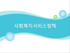 [사회복지서비스정책 전체 분석] 영유아 보육정책, 아동복지 정책, 재가복지정책, 지역사회복지 협의체, 저출산, 고령화 사회정책, 사회적 일자리-1페이지