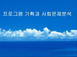 프로그램 기획과 사회 문제 분석 -1페이지