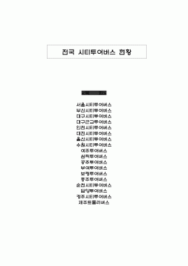 전국_시티투어버스_현황[1]-1페이지