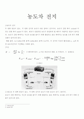 농도차 전지-1페이지