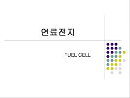 연료전지 [자연과학] -1페이지