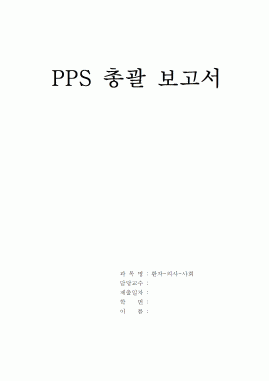 PPS 총괄 보고서-1페이지