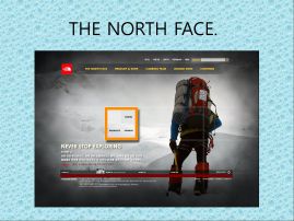 노스페이스(THE NORTH FACE) 마케팅 SWOT,STP,4P,광고 전략분석-1페이지